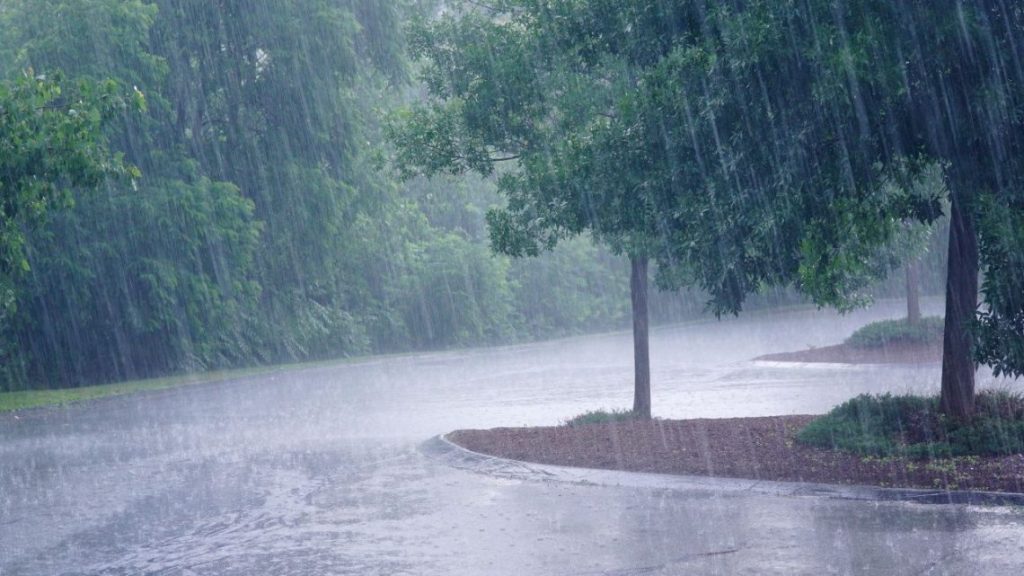 Temporal lluvioso durante la semana