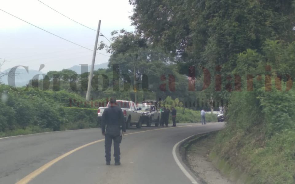 Tenía 15 años la joven ejecutada y emplallada – CórdobaaDiario